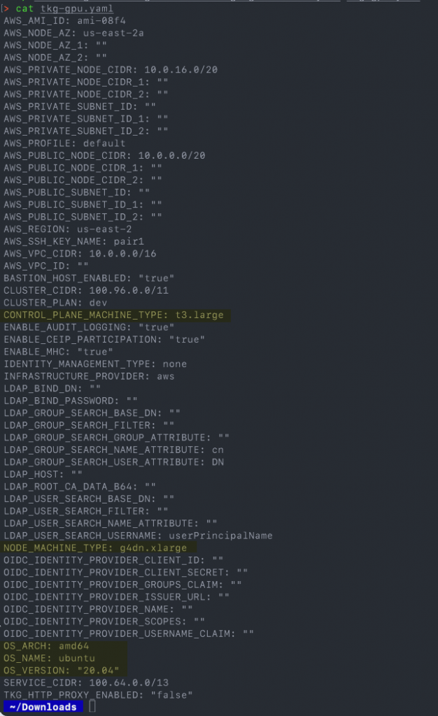 Deploying Nvidia Gpu Enabled Tanzu Kubernetes Clusters