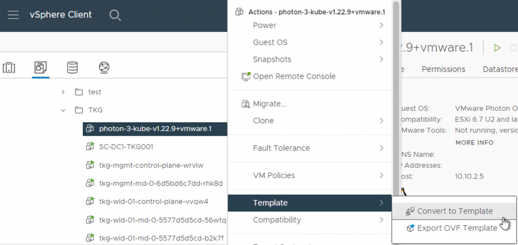 Tanzu Kubernetes Grid - Upgrading a Management & Workload Cluster ...